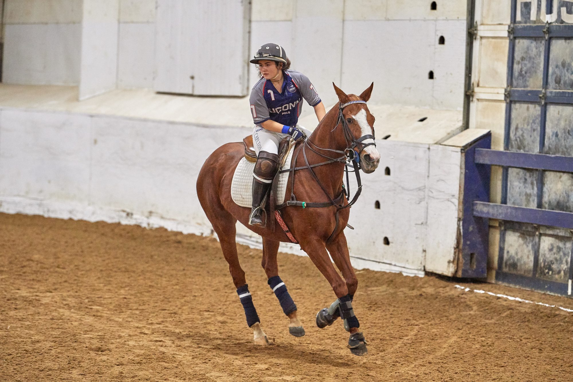 Introduction to Equine Science and Horsemanship | UConn Pre-College Summer